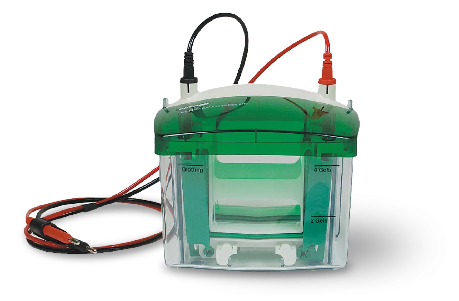 【2024年度版】電気泳動装置のおすすめメーカー11選 - 分析計測ジャーナル all about laboratory by AOYAMA1954